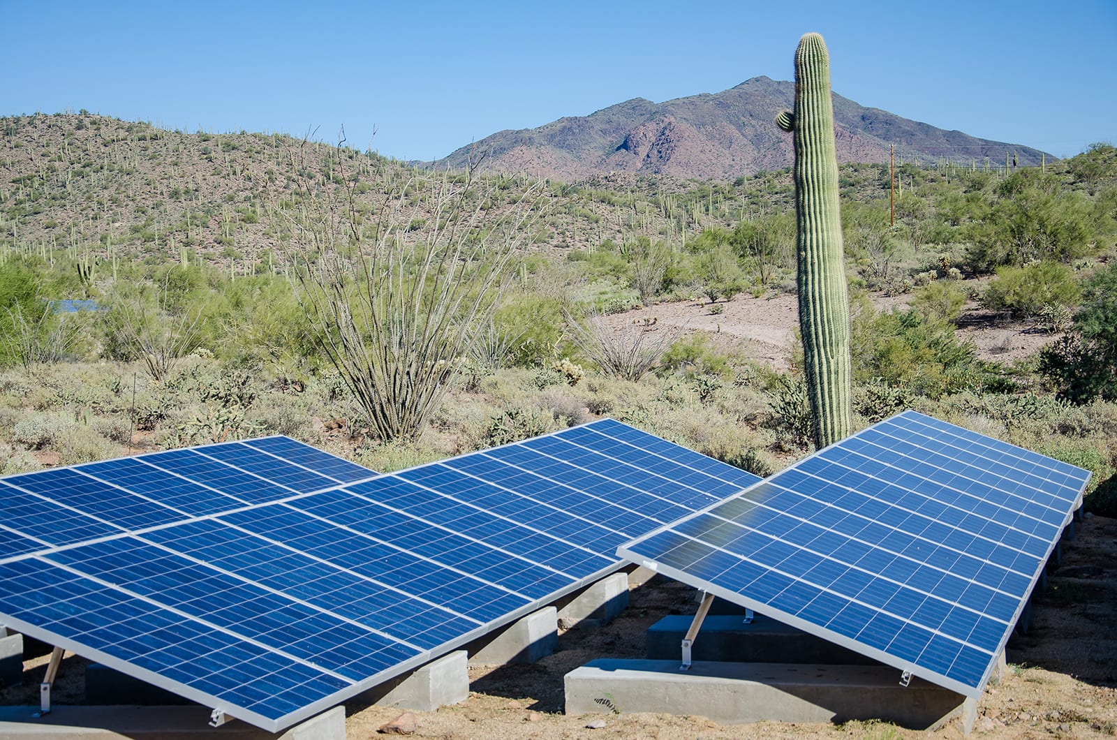 About Us | Renewable Energy for AZ - az4ccc